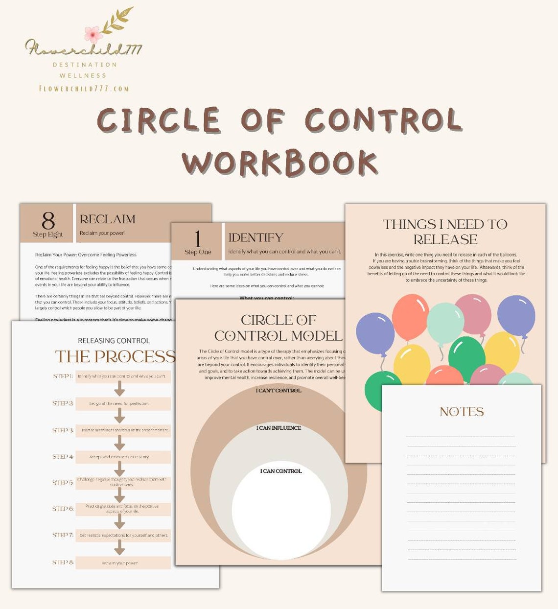 What I Can Control Circle of Control Worksheets Cognitive - Etsy