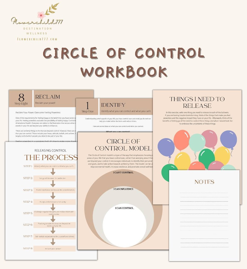 What I Can Control Circle of Control Worksheets Cognitive - Etsy