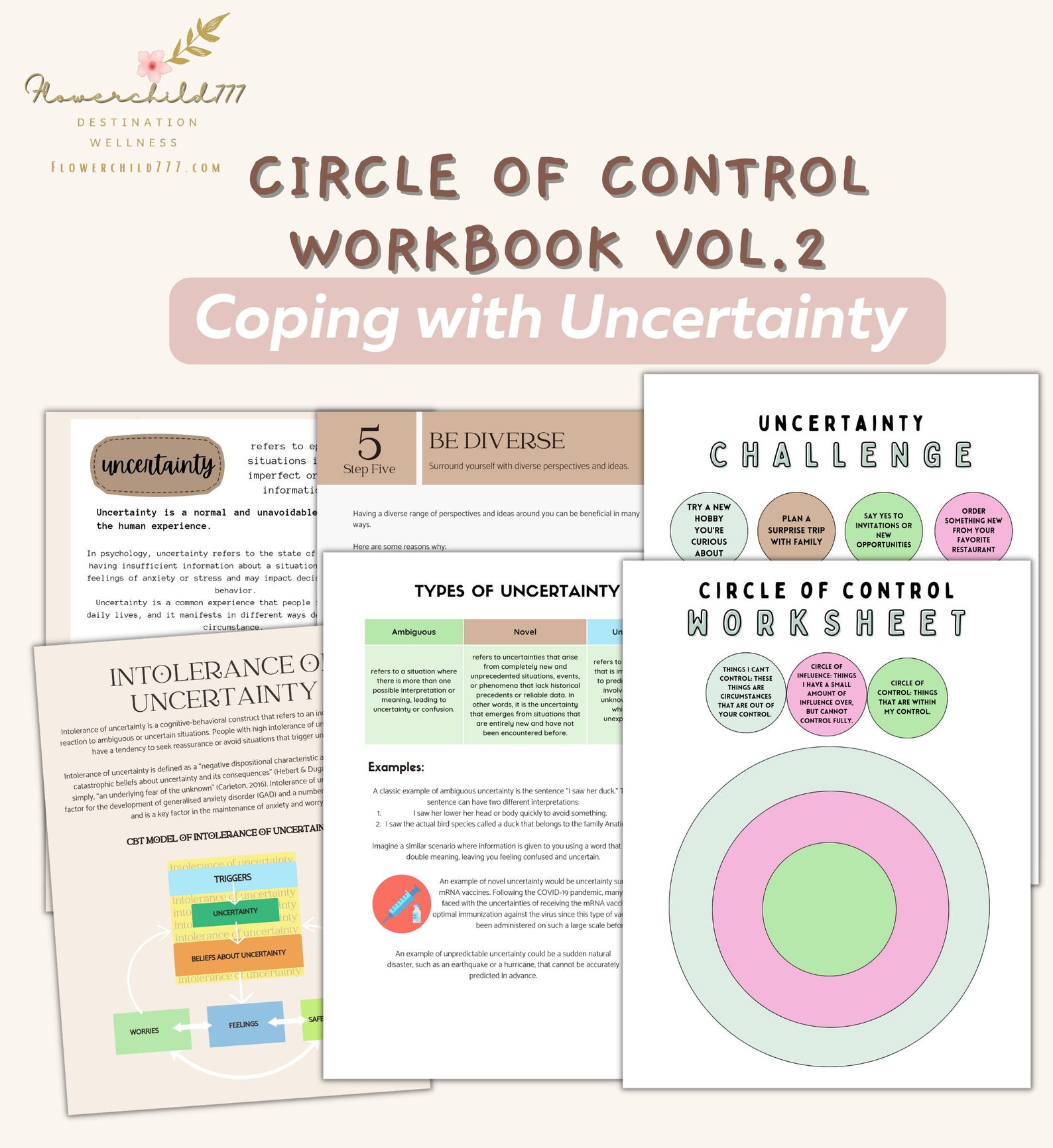 Circle of Control Worksheet, Printable Circle of Control Pdf, Anxiety ...