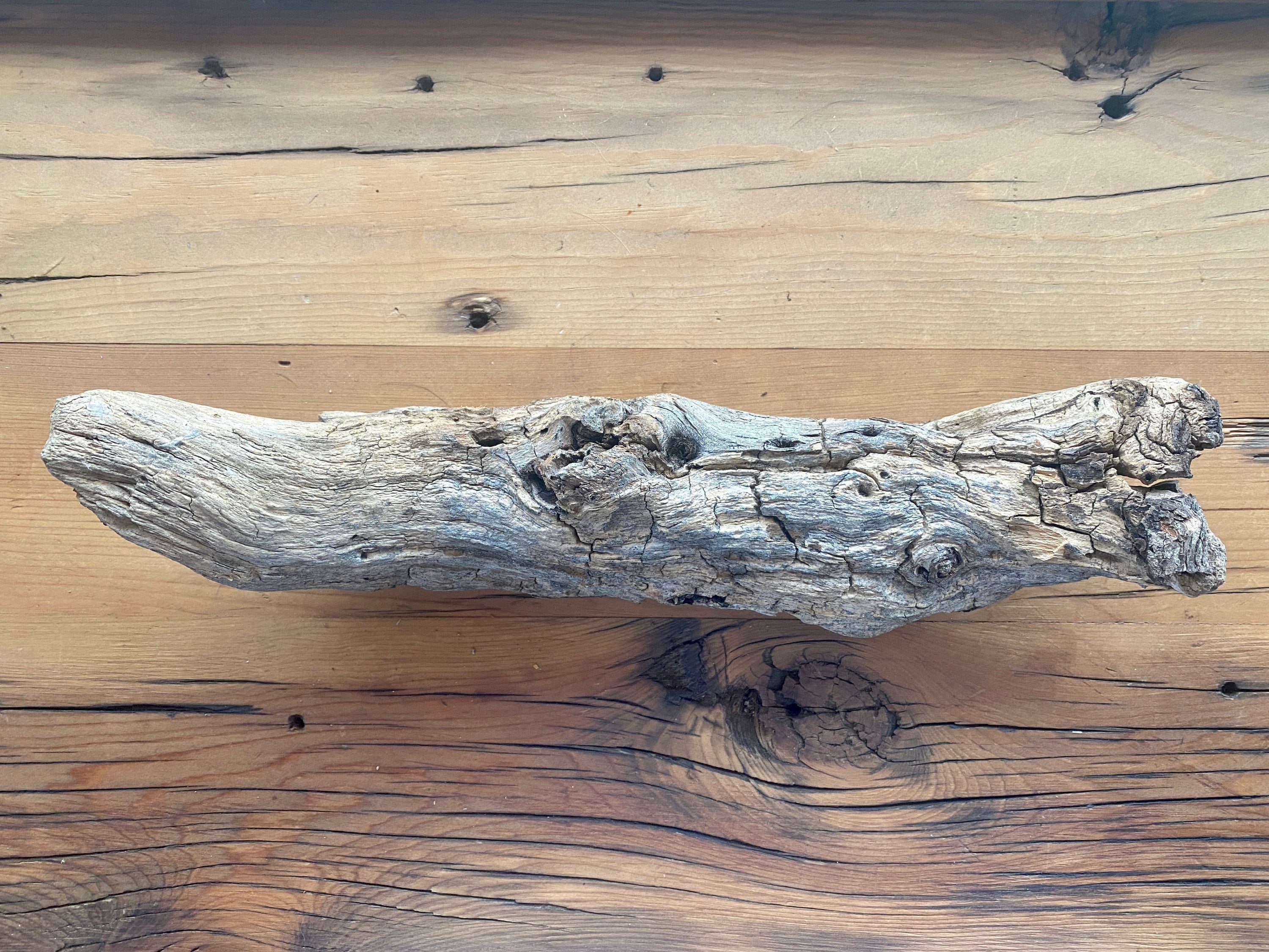 Drift Wood River Freshwater Terrariums Aquariums Wind Chimes - Etsy