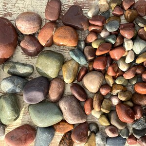 Rainbow River Rocks (1–4”) • ~15 Lbs Colorful Montana Beach Stones ...