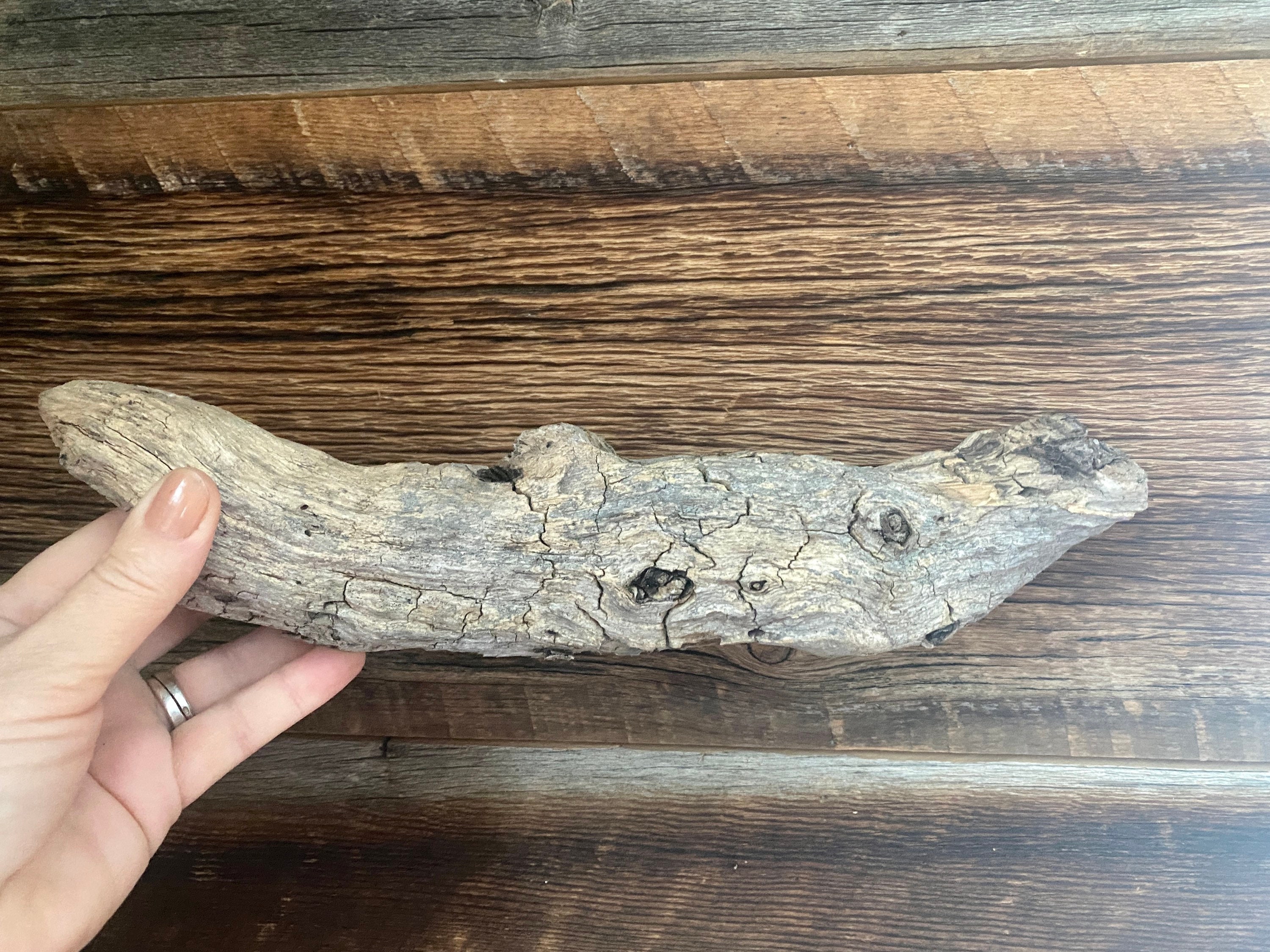 Drift Wood River Freshwater Terrariums Aquariums Wind Chimes - Etsy