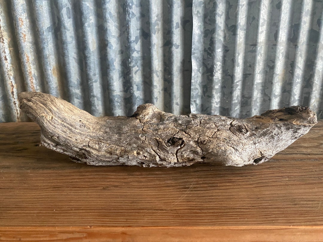 Drift Wood River Freshwater Terrariums Aquariums Wind Chimes - Etsy