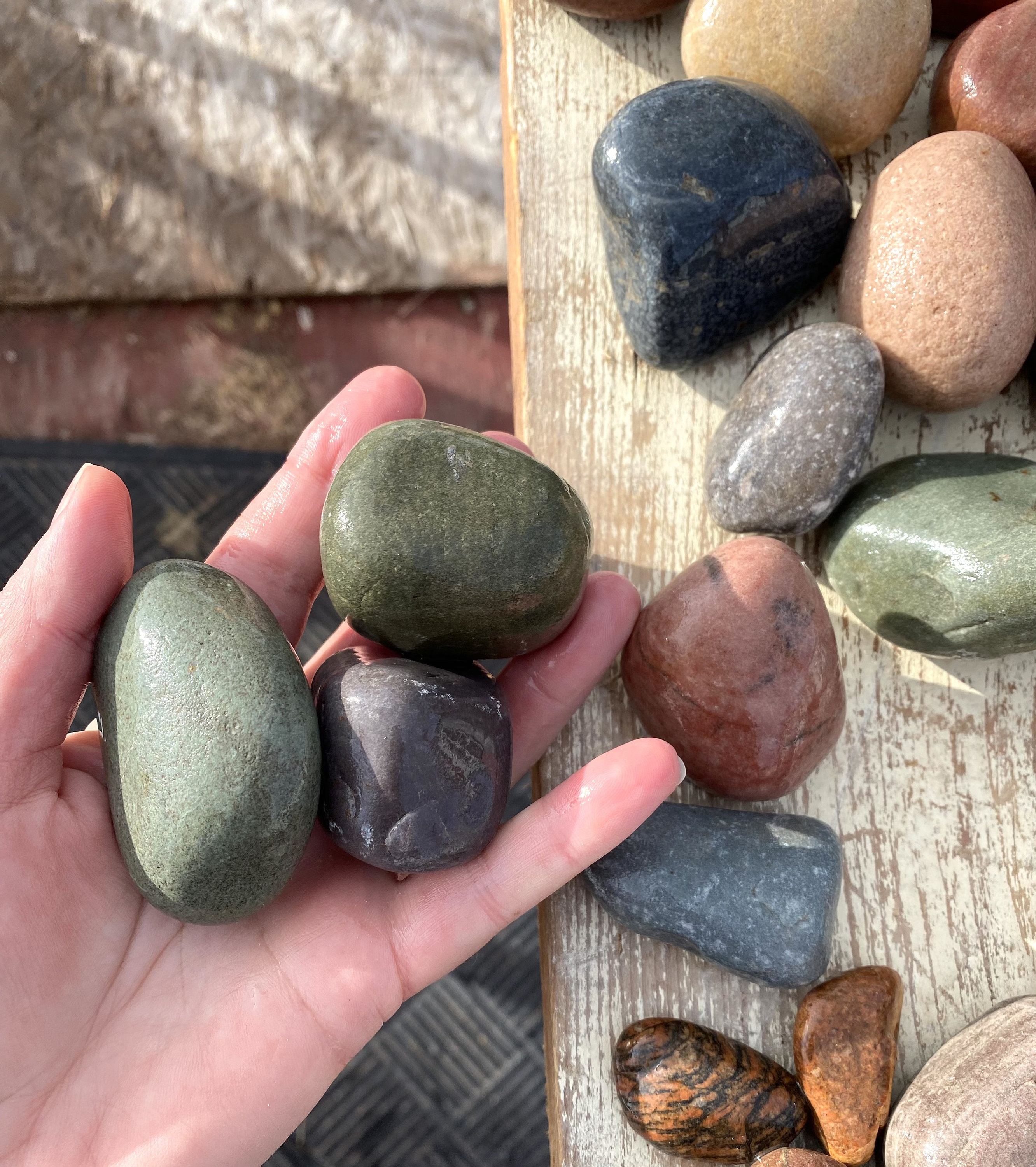 Rainbow River Rocks (1–4”) • ~15 Lbs Colorful Montana Beach Stones ...