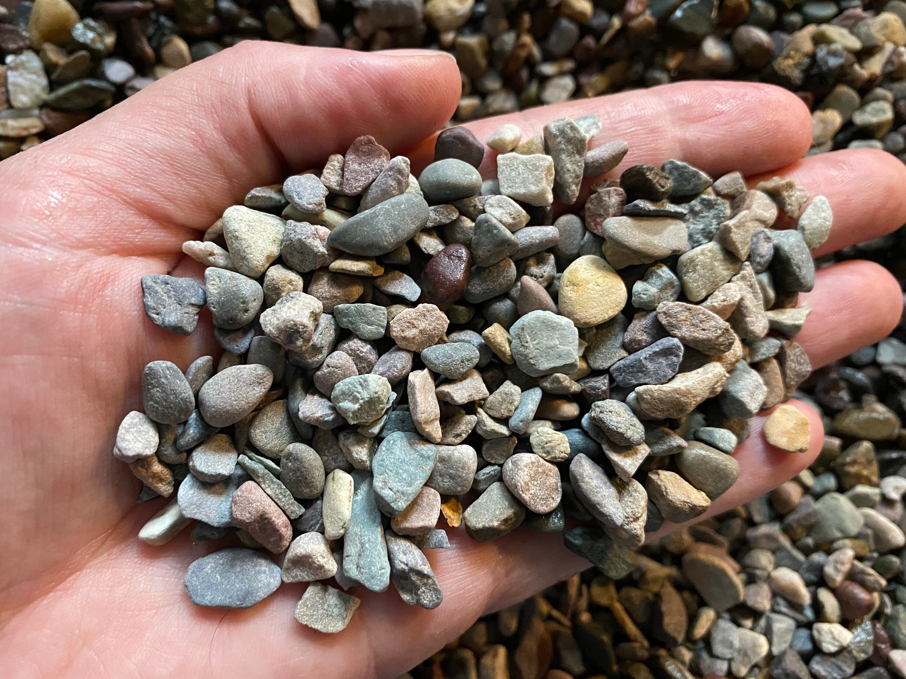 Stones & Pebbles 1/4” and smaller. 25 lbs 1/4” Colorful stones River ...