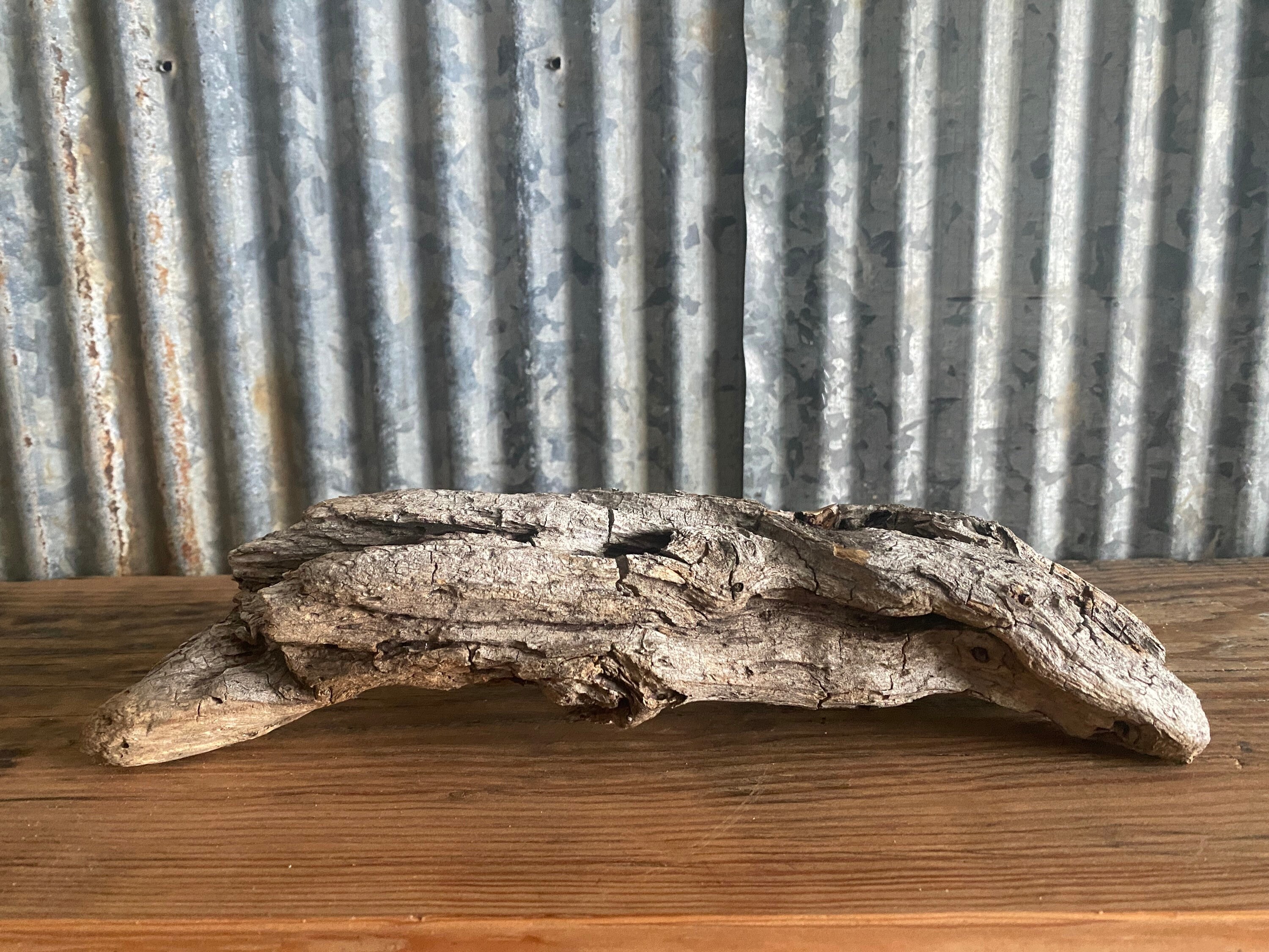 Drift Wood River Freshwater Terrariums Aquariums Wind Chimes - Etsy