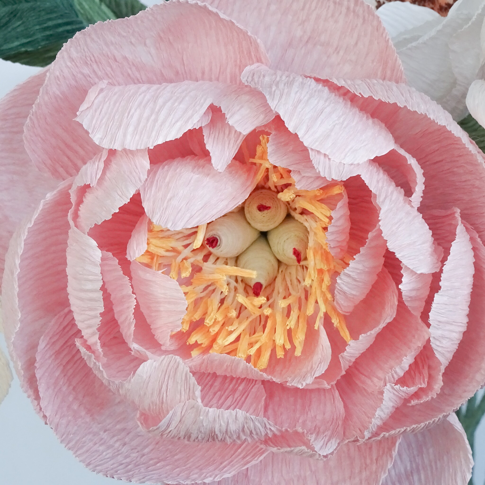 Crepe Paper Cosmo, Peony and Rose Bouquet december Dreams With Five ...