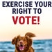 Postcards to Voters: exercise Your Right to Vote | Etsy