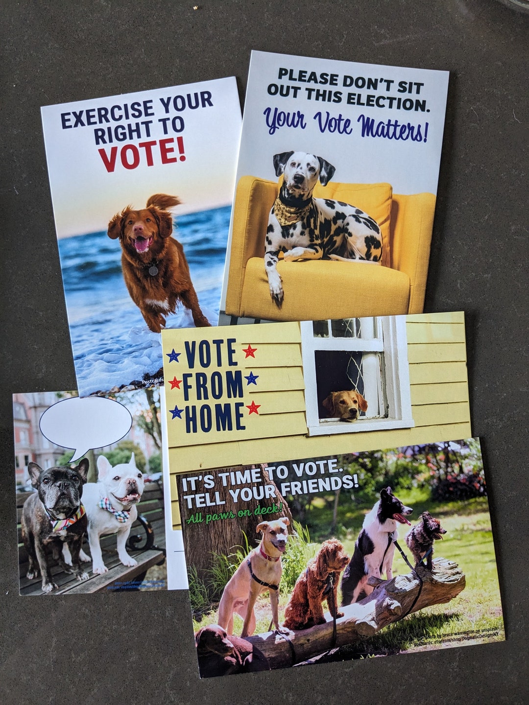Voter Postcards: Dog-themed Election Reminders 50 Pack Set, You Choose ...