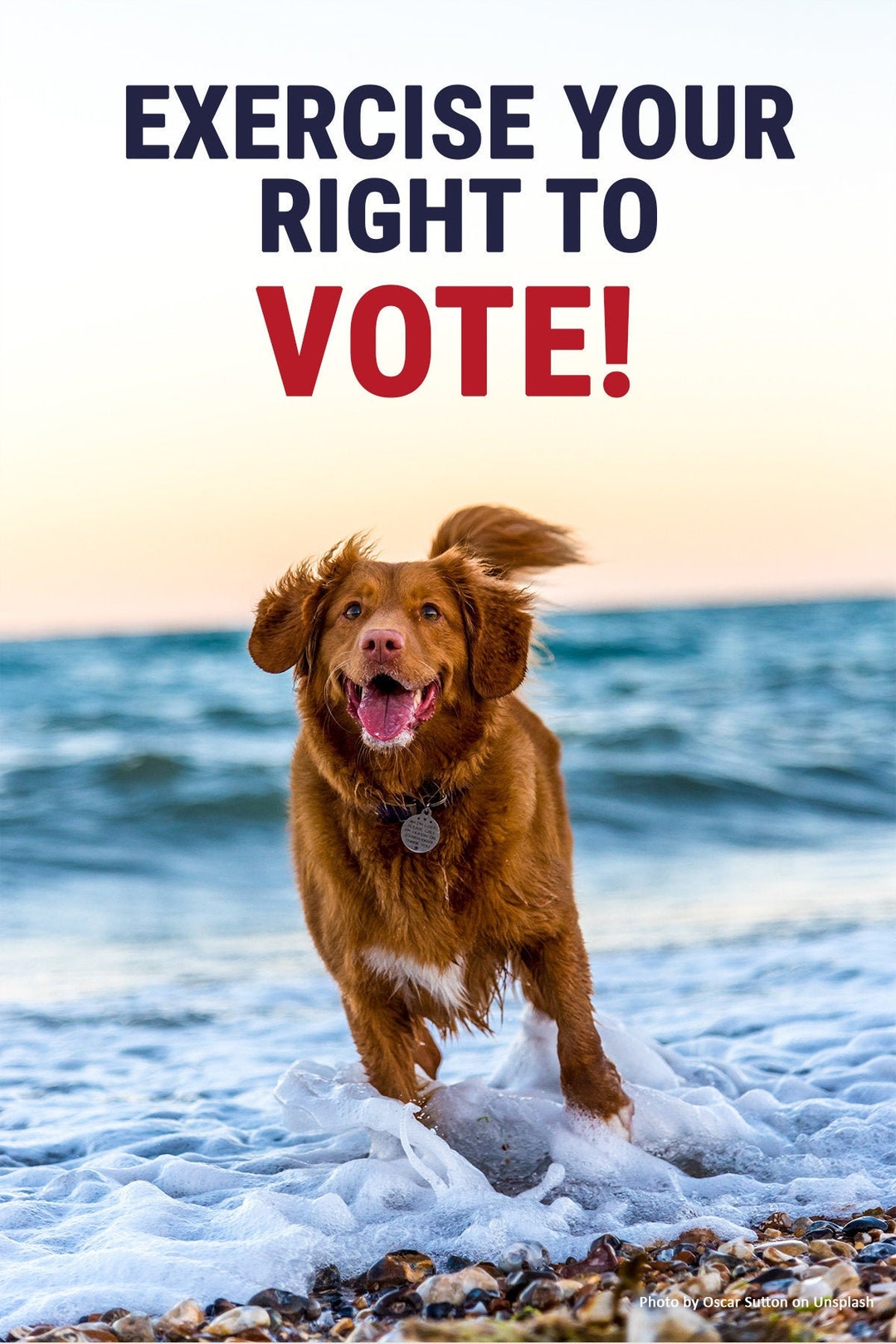 Postcards to Voters: "exercise Your Right to Vote!" Election Reminder ...