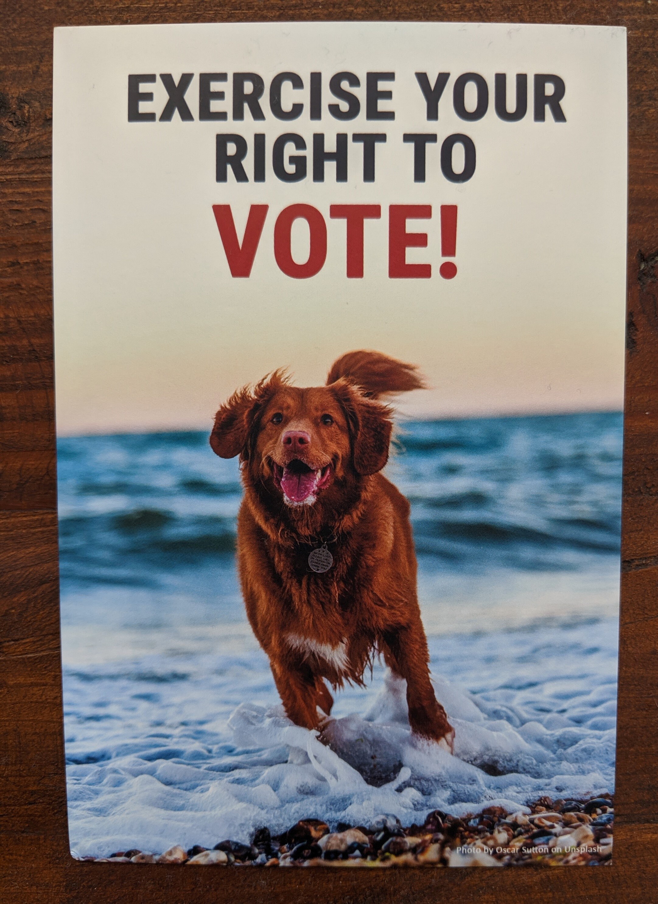 Postcards to Voters: exercise Your Right to Vote Election Reminder ...