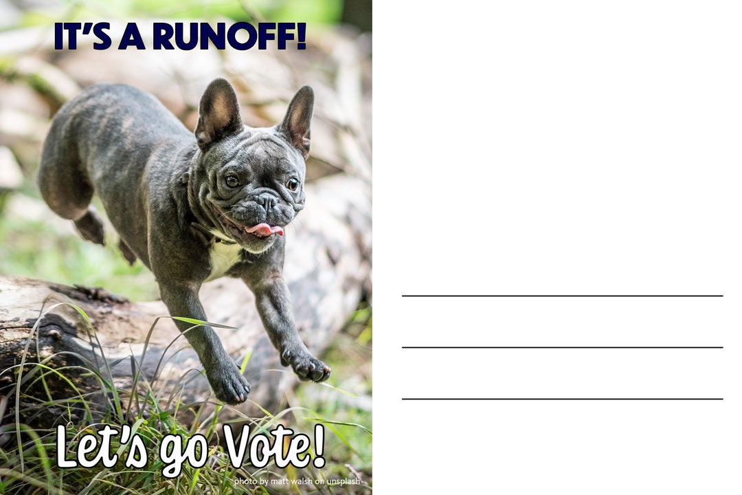 Voter Postcards: "it's a Runoff! Let's Go Vote!" French Bulldog Runoff ...