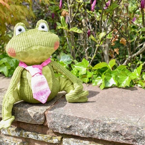 Alberto the Frog - A Quality PDF Digital Download Sewing Pattern to ...
