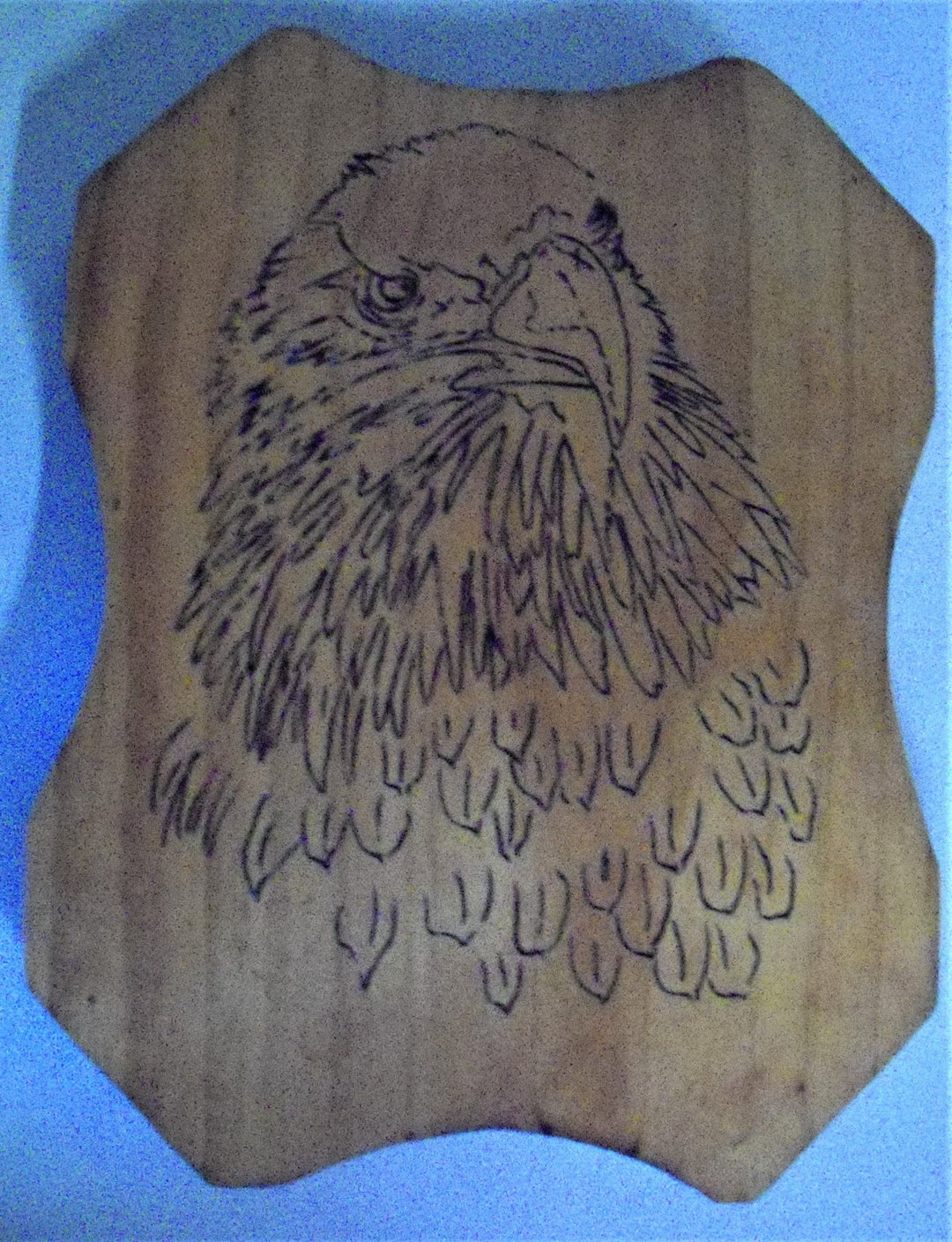 EAGLE THEMED DECOR 2 Different Pictured - Etsy