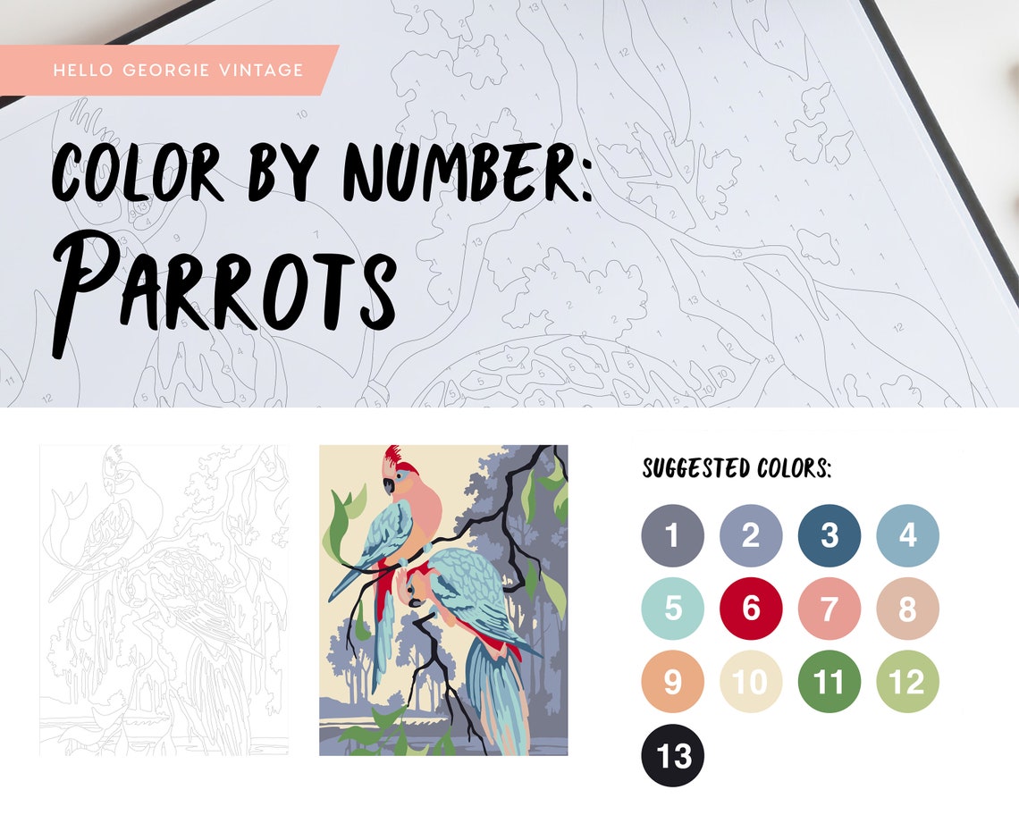 DOWNLOAD Color by Numbers of a two parrots coloring page for | Etsy