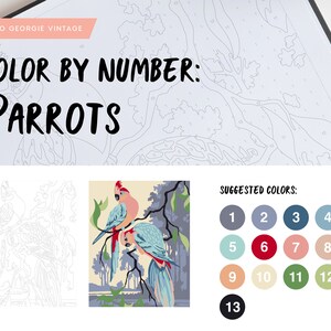DOWNLOAD! Color by Numbers of a Two Parrots Coloring Page for Adults ...