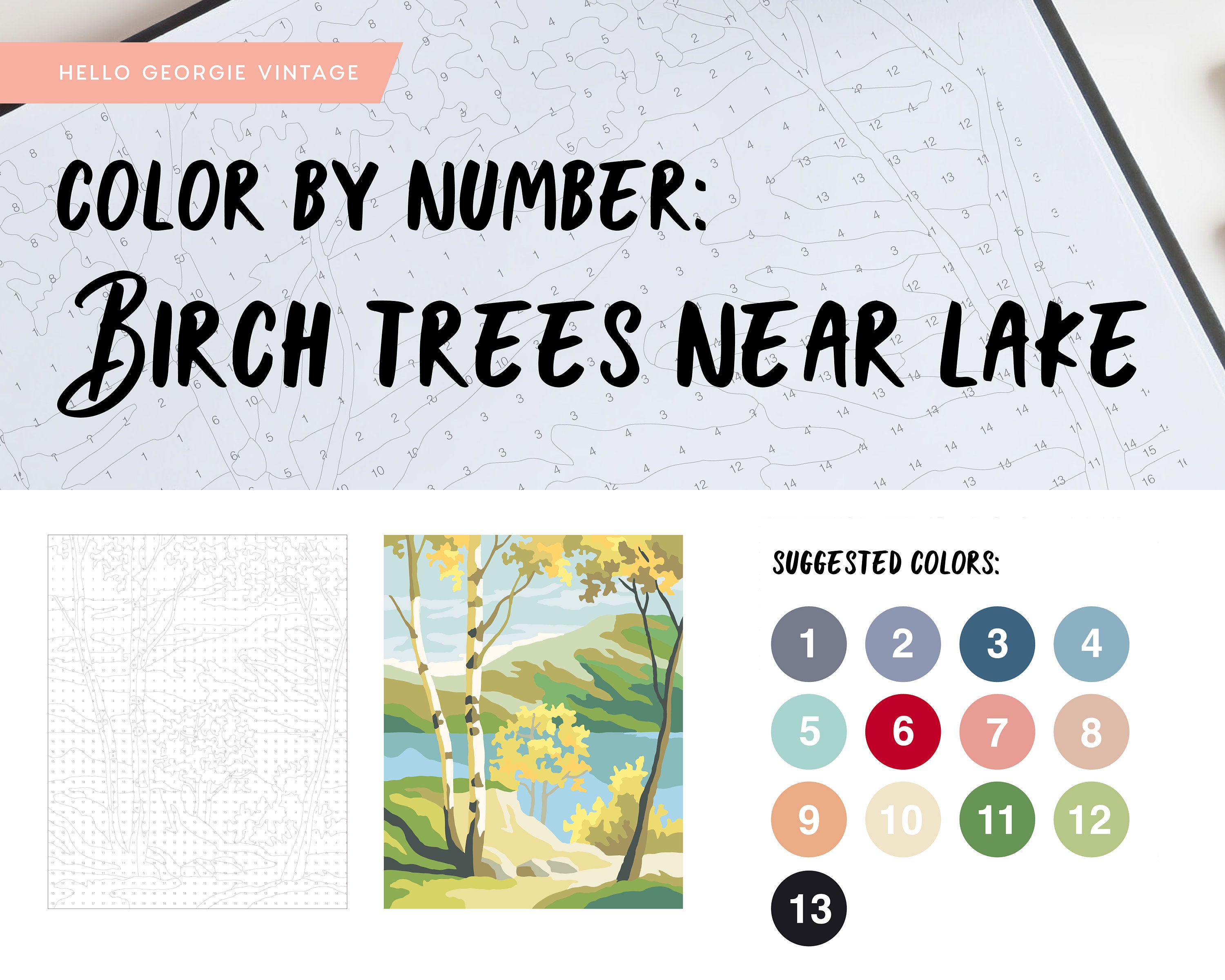 DOWNLOAD Color by Numbers Birch Trees Near a Lake Coloring - Etsy