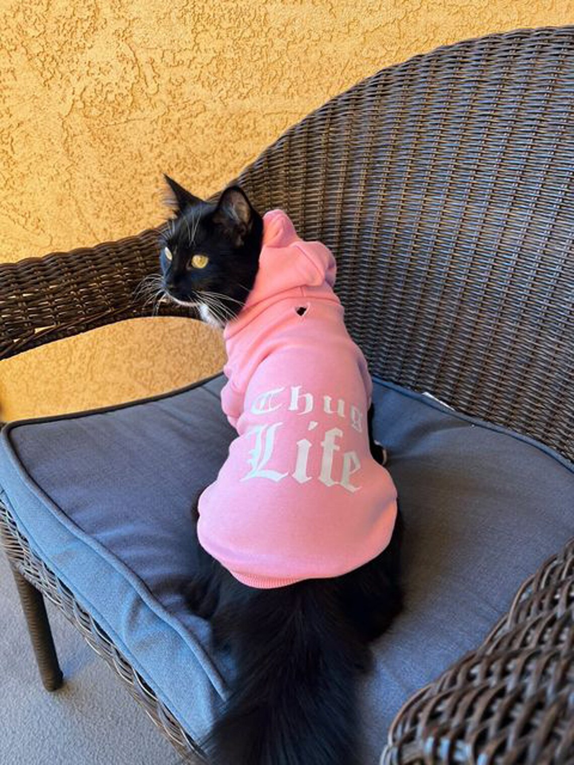 Thug Life Pet Dogs Cats Hoodie Funny Dog Hoodies Hoodies - Etsy
