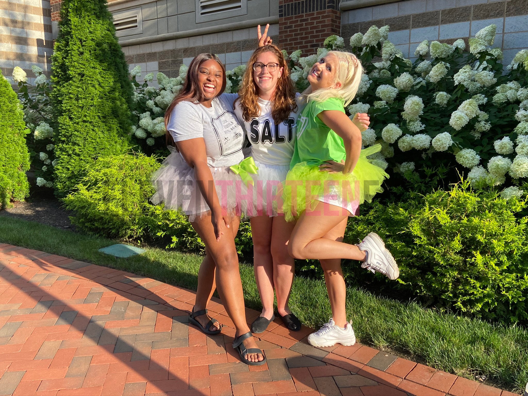 Group Costumes For 3 Tweens