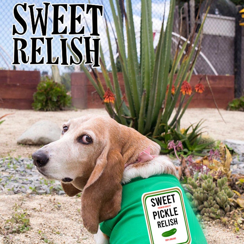 Pickle Costume - Etsy
