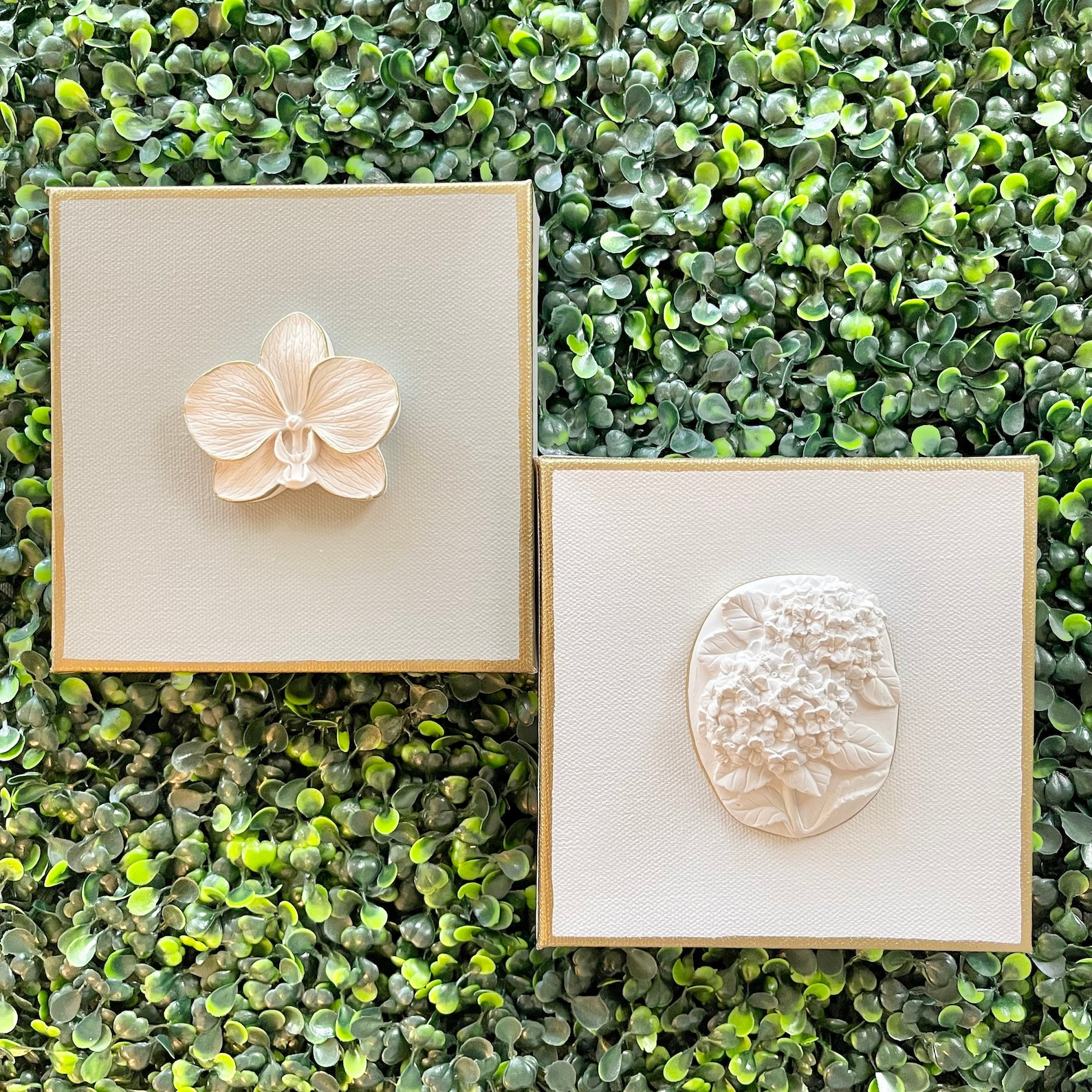 Botanical Intaglio Art on 5X7 or 6X6 Canvas Plaster | Etsy