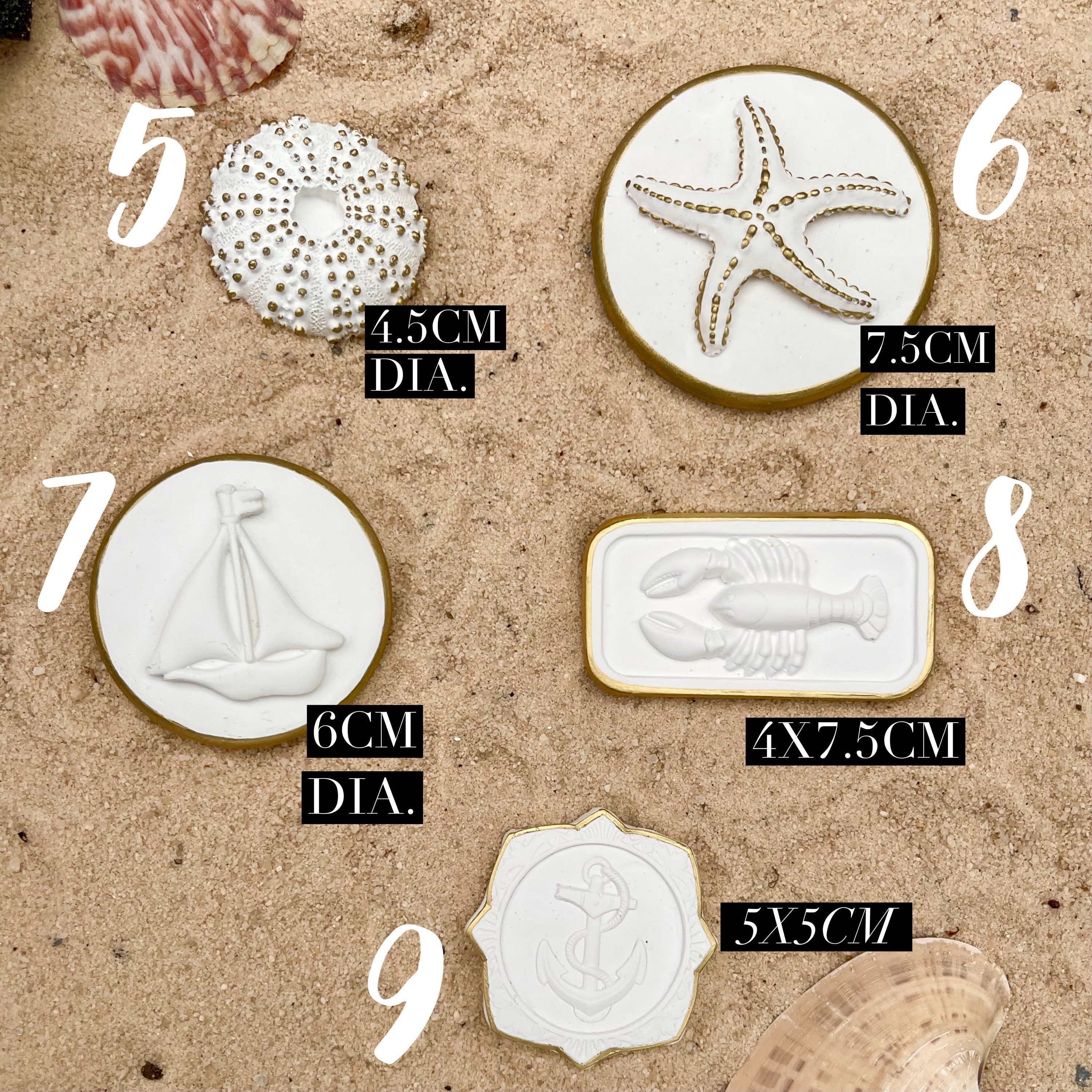 Coastal Intaglio Art on 6X6 or 5X7 Canvas, Coral, Shells or Sand Dollar ...