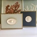 Coastal Intaglio Art on 6X6 or 5X7 Canvas, Coral, Shells or Sand Dollar ...