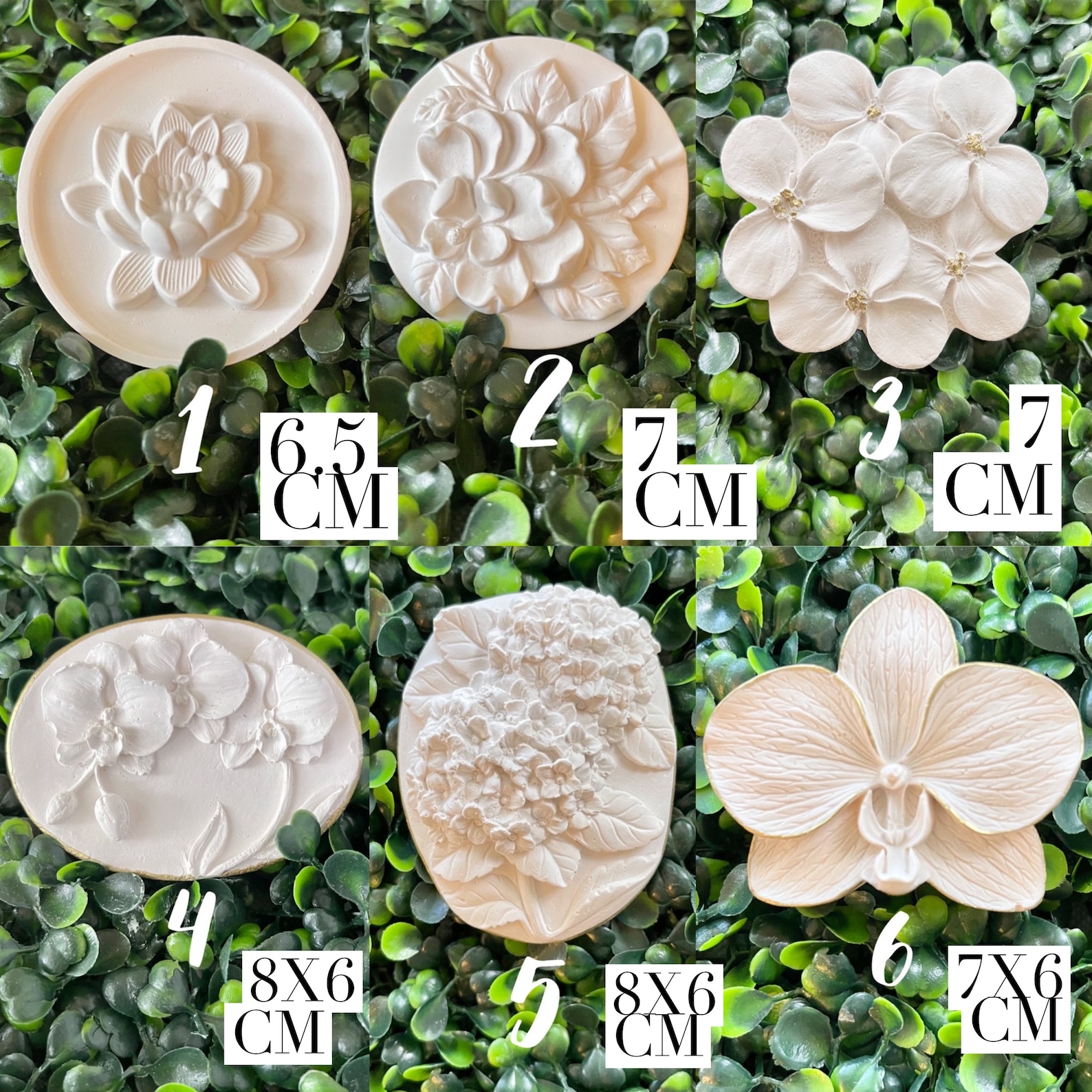 Botanical Intaglio Art on 5X7 or 6X6 Canvas Plaster - Etsy