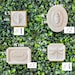 Modern Insects Intaglio Art, Plaster Medallions on Canvas, Botanical ...