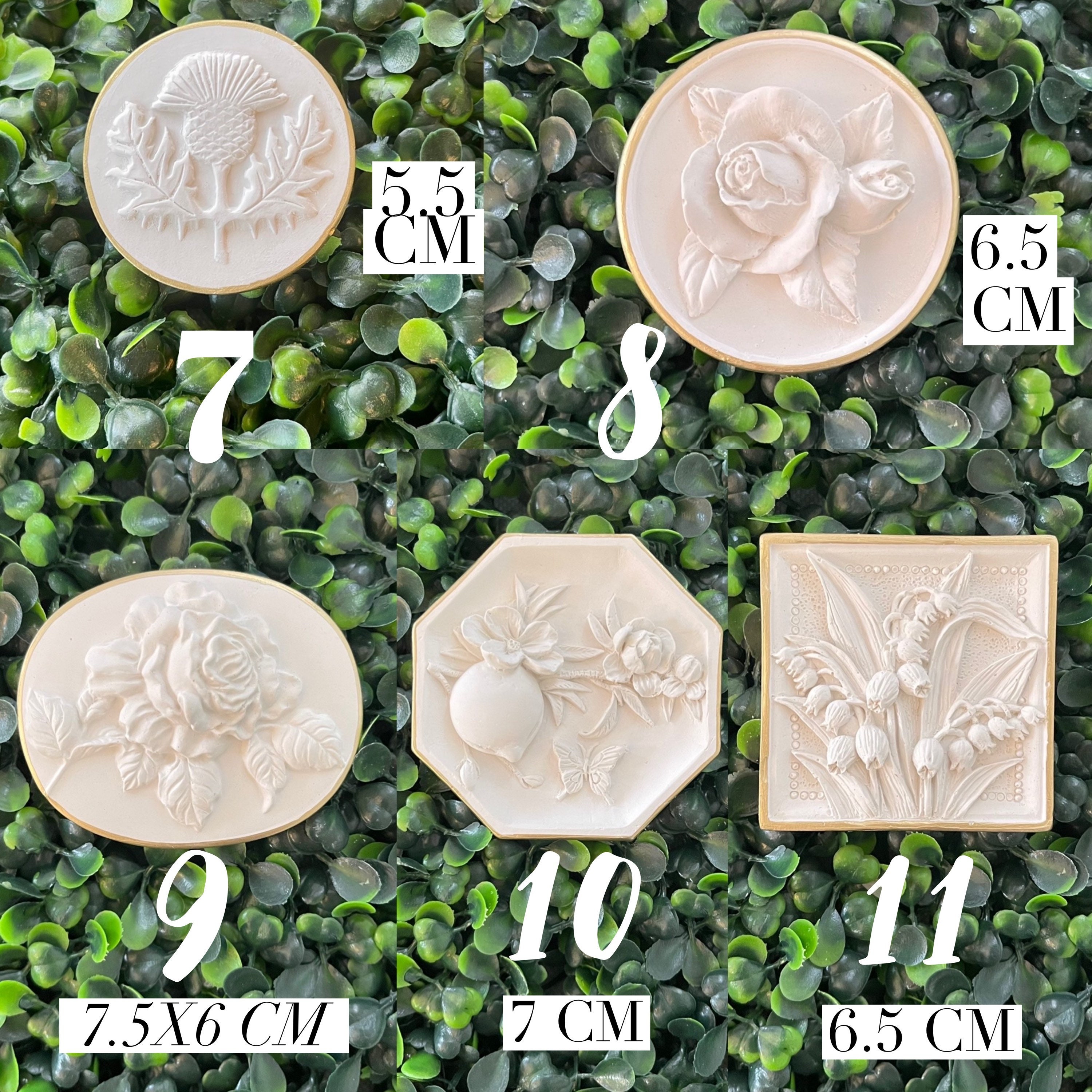 Botanical Intaglio Art on 5X7 or 6X6 Canvas Plaster - Etsy