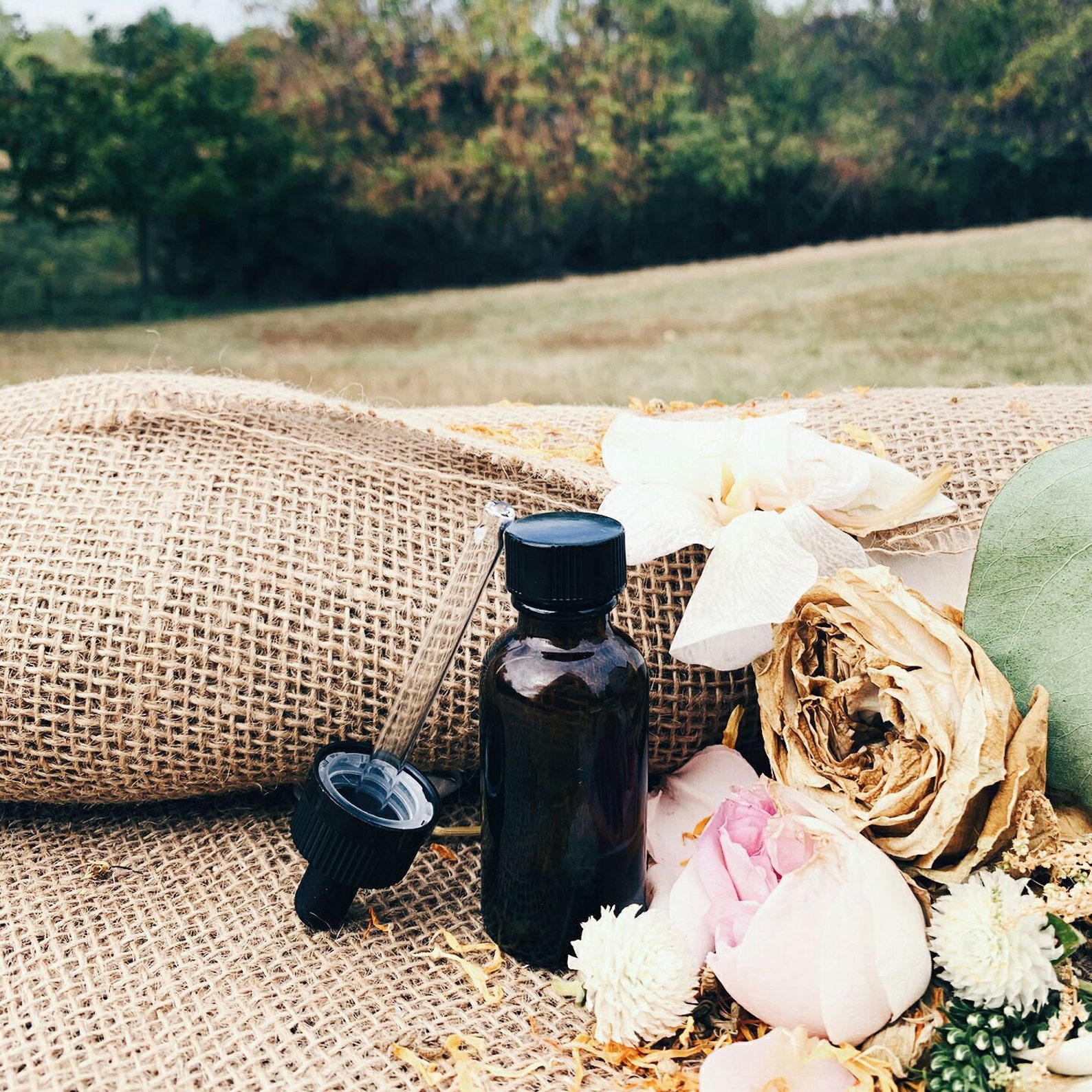 Dropper Cap for 1 Oz Bottle - Etsy