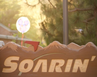 Soarin Over California | Etsy