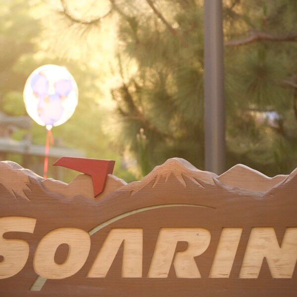 Soarin Over California - Etsy