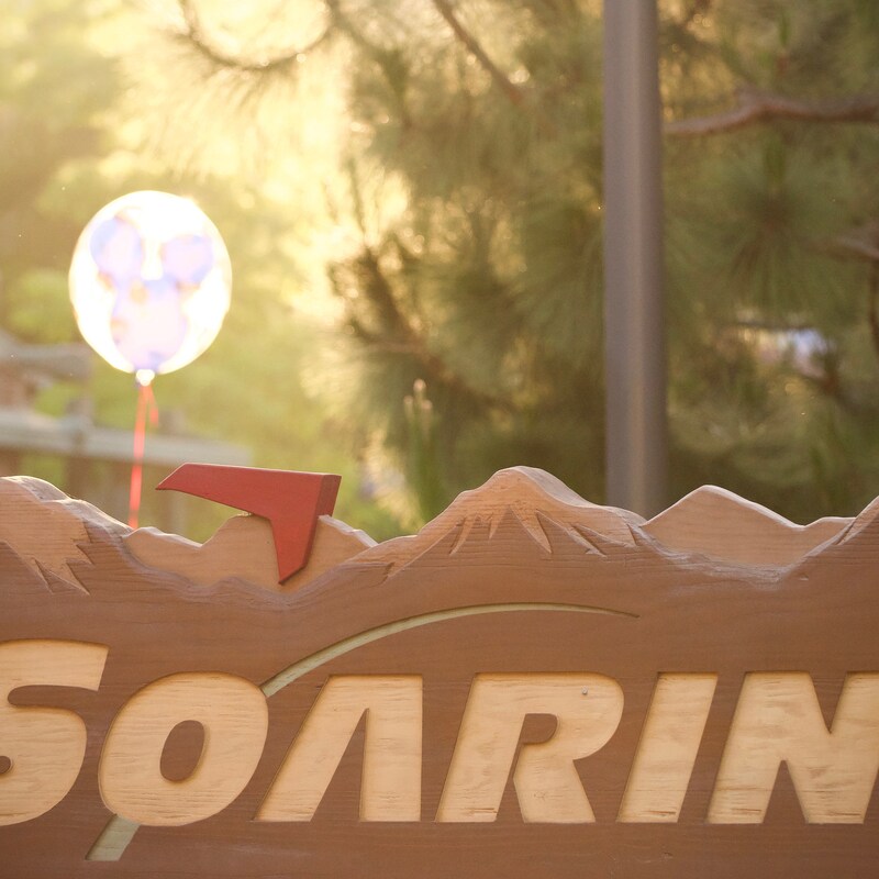 Soarin Over California - Etsy