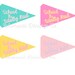 Retro Back to School Pennant Flag Printables // Whimsical Darlings Co X ...