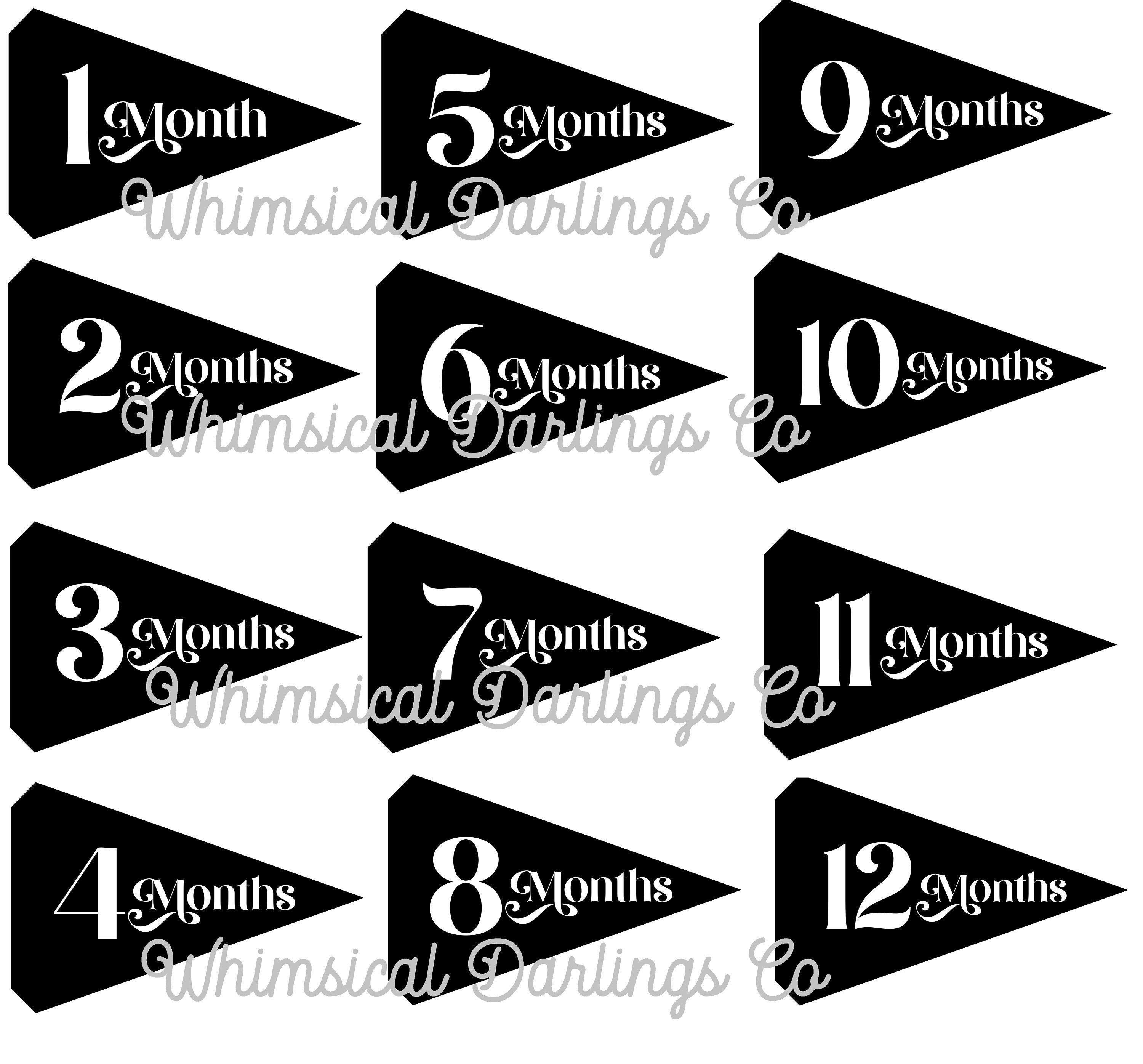 Baby Monthly Milestone Pennant Flag Printables - Black - Etsy