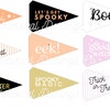 Boo Flag Printable // Boo Pennant Flag // Halloween Penant Flag // Boo ...