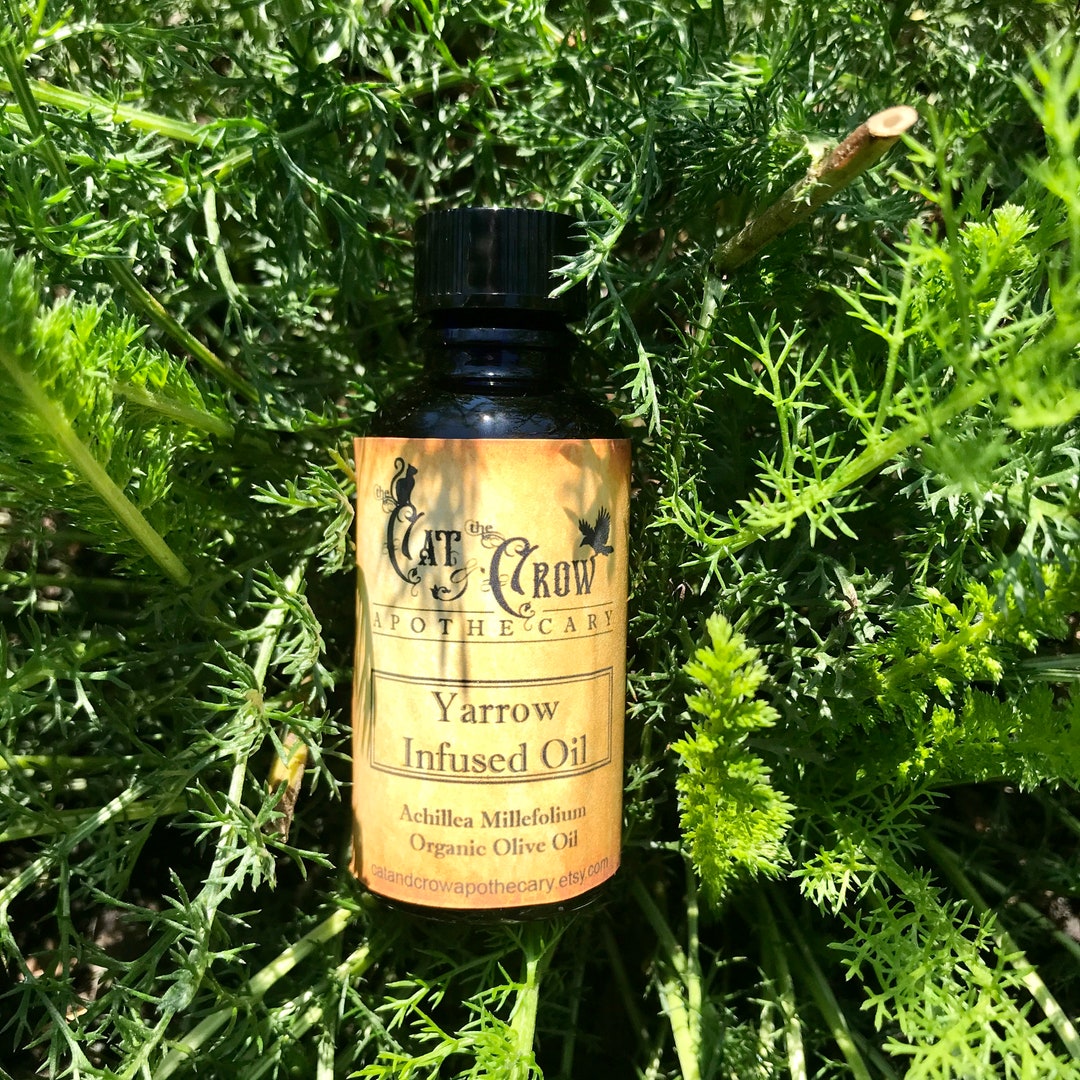 Yarrow Infused Oil Herbal Oil - Etsy Hong Kong