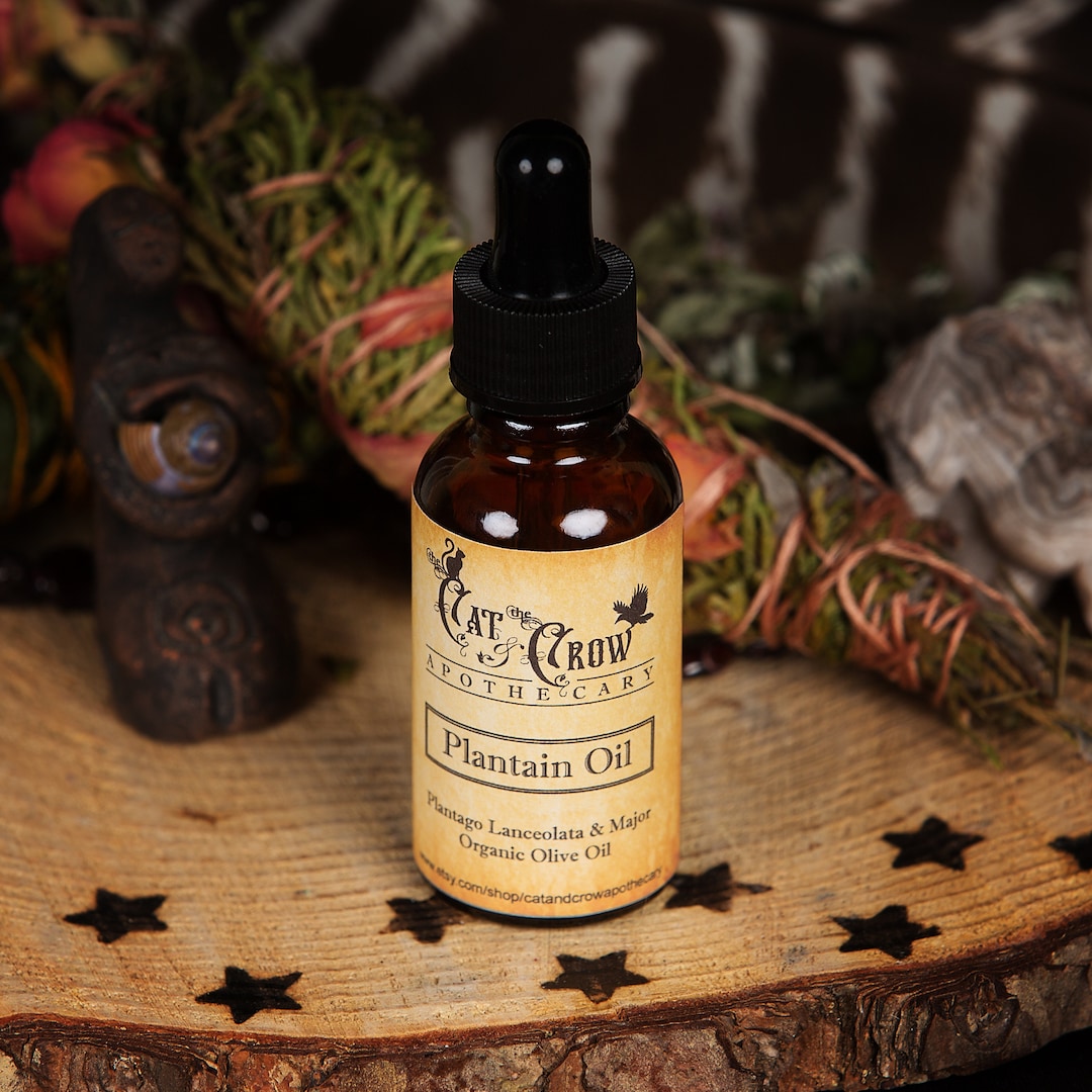Plantain Infused Oil - Etsy
