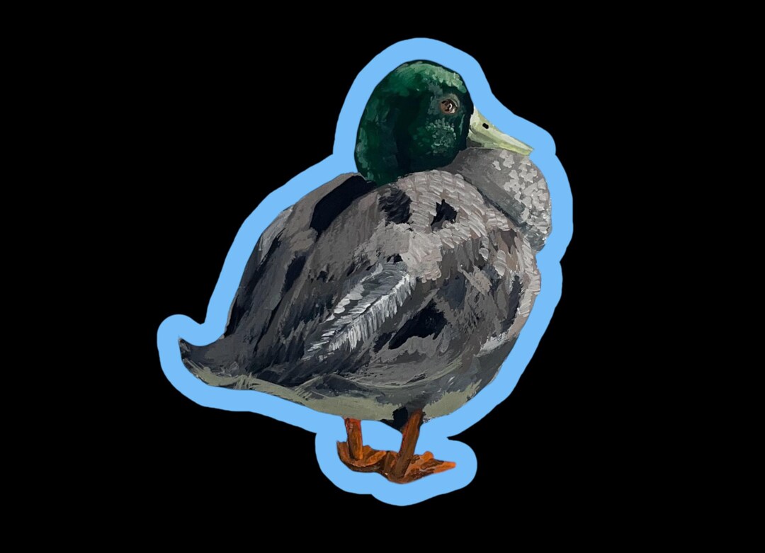 Side Eye Sticker - Etsy