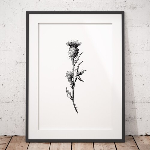 Thistle Botanical Print Set - Etsy