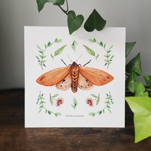 Moth Species Print, Watercolour Deaths-head Hawk-moth, Entomology ...