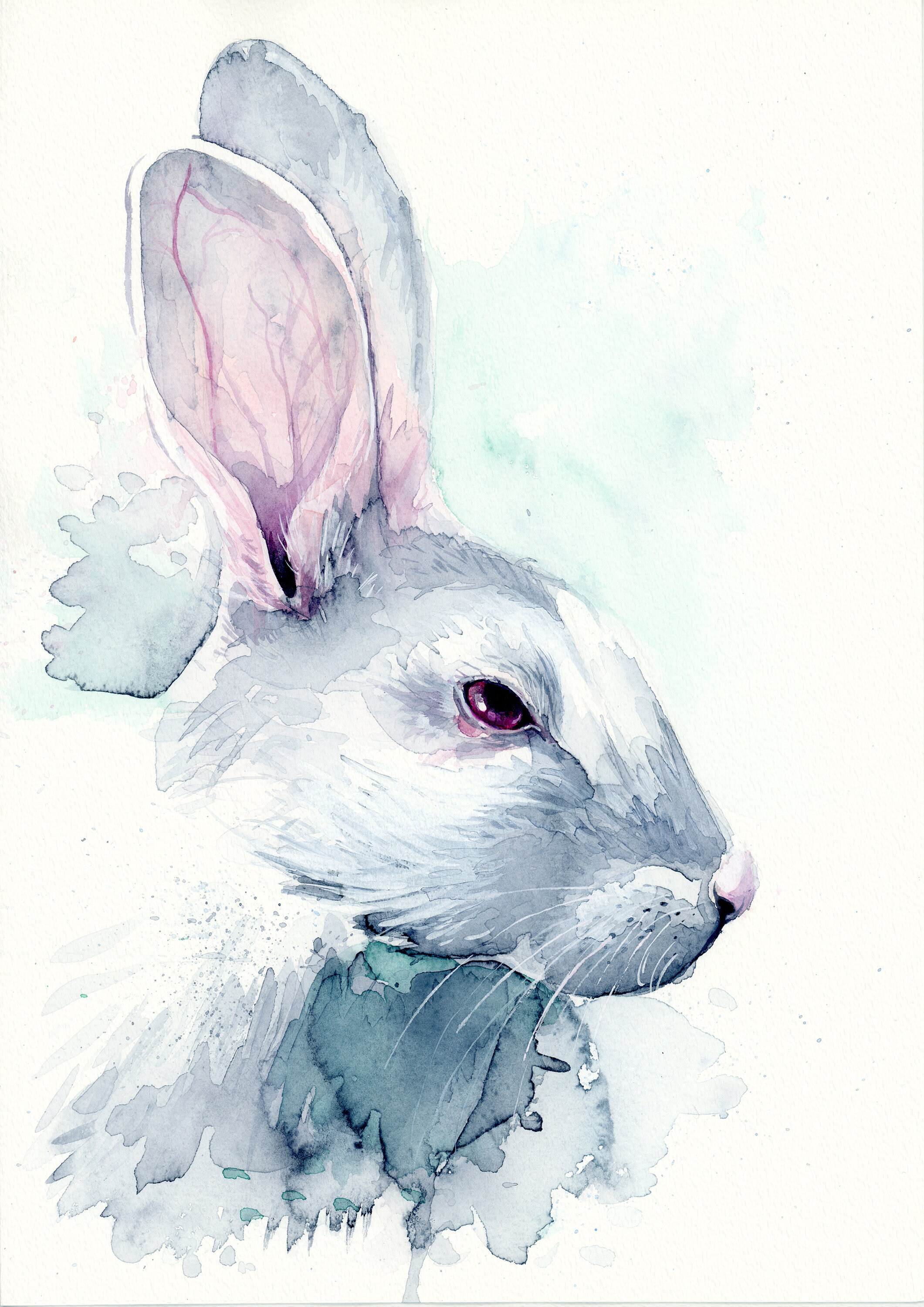 White Rabbit Hare Watercolour Painting Wild Animal Gift for - Etsy