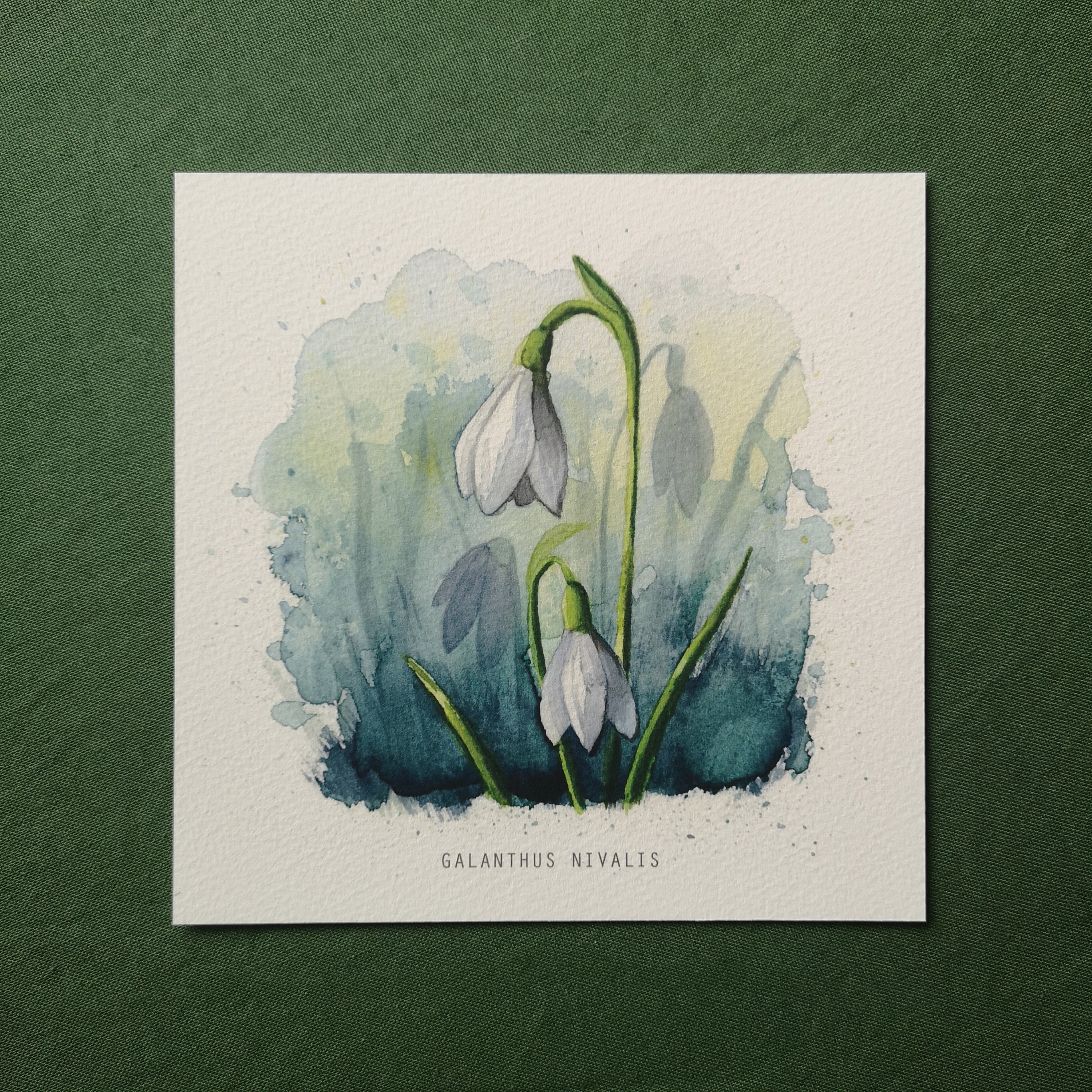 Painting Art & Collectibles Watercolor Snowdrop Painting Original ...