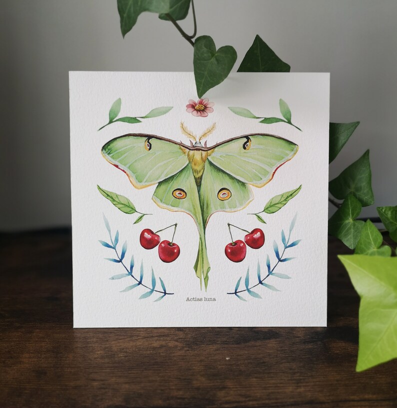 Moth Species Print, Watercolour Deaths-head Hawk-moth, Entomology ...