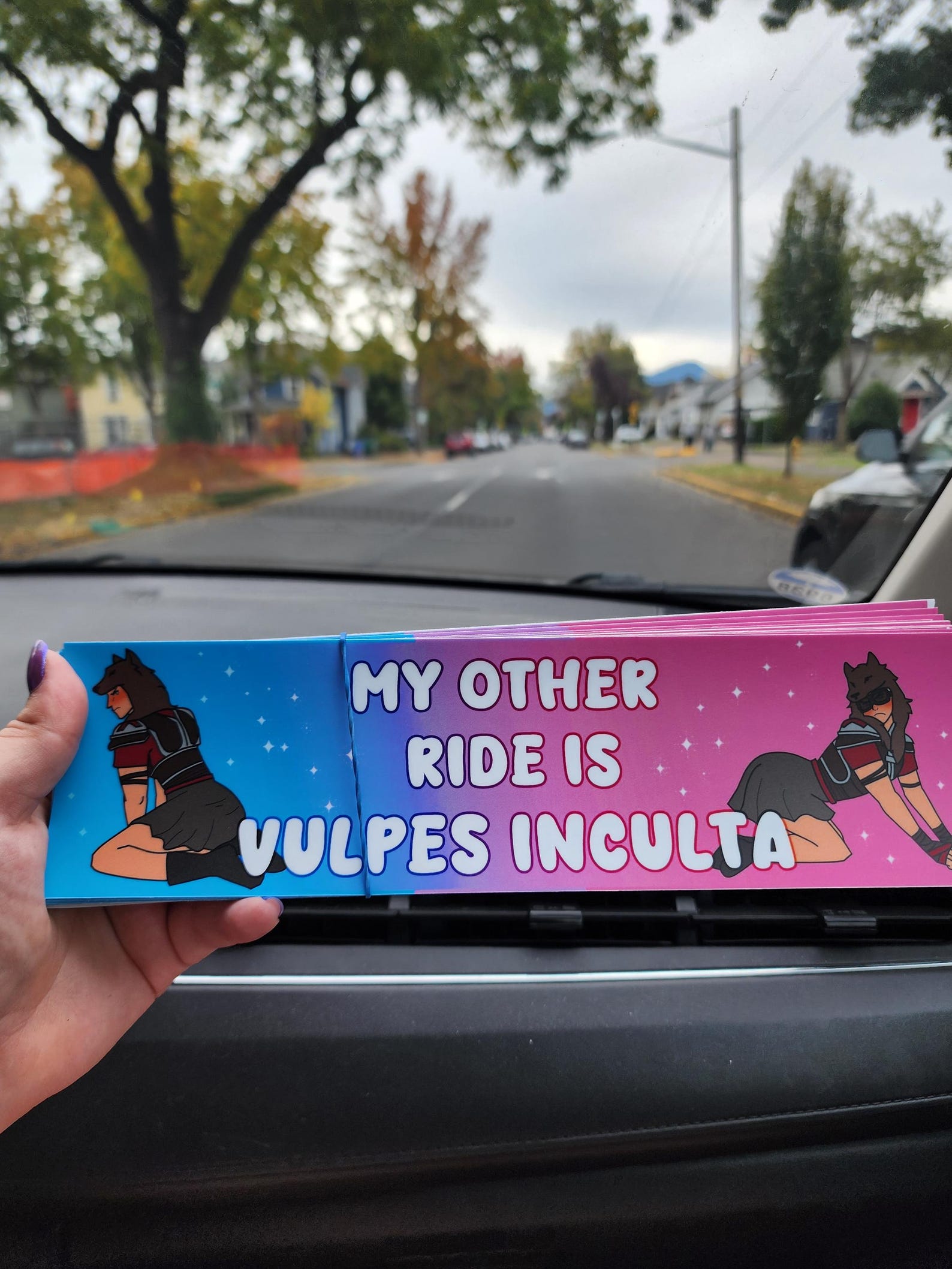 FNV Inspired Bumper Sticker: My Other Ride is Vulpes Inculta - Etsy