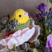 Crocheted Bird-mini Parakeet - Etsy