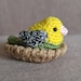 Crocheted Bird-mini Parakeet - Etsy