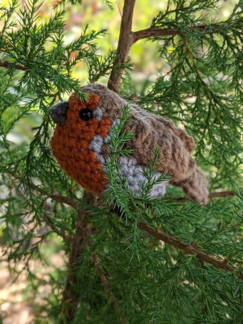 Crocheted Bird-robin - Etsy