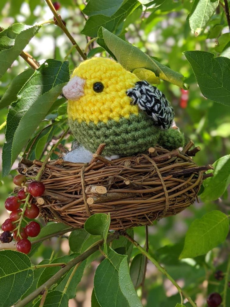Crocheted Bird-mini Parakeet - Etsy